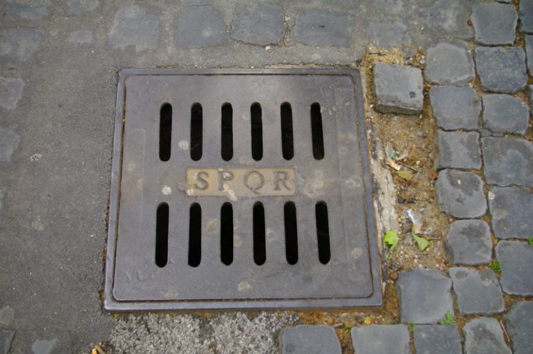 Os Símbolos de Roma: SPQR, Loba Capitolina, Águia Imperial - Roma Pra Você